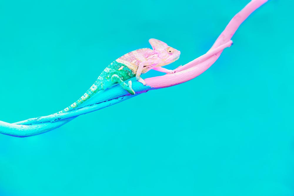 Find a Job with HRGO Recruitment